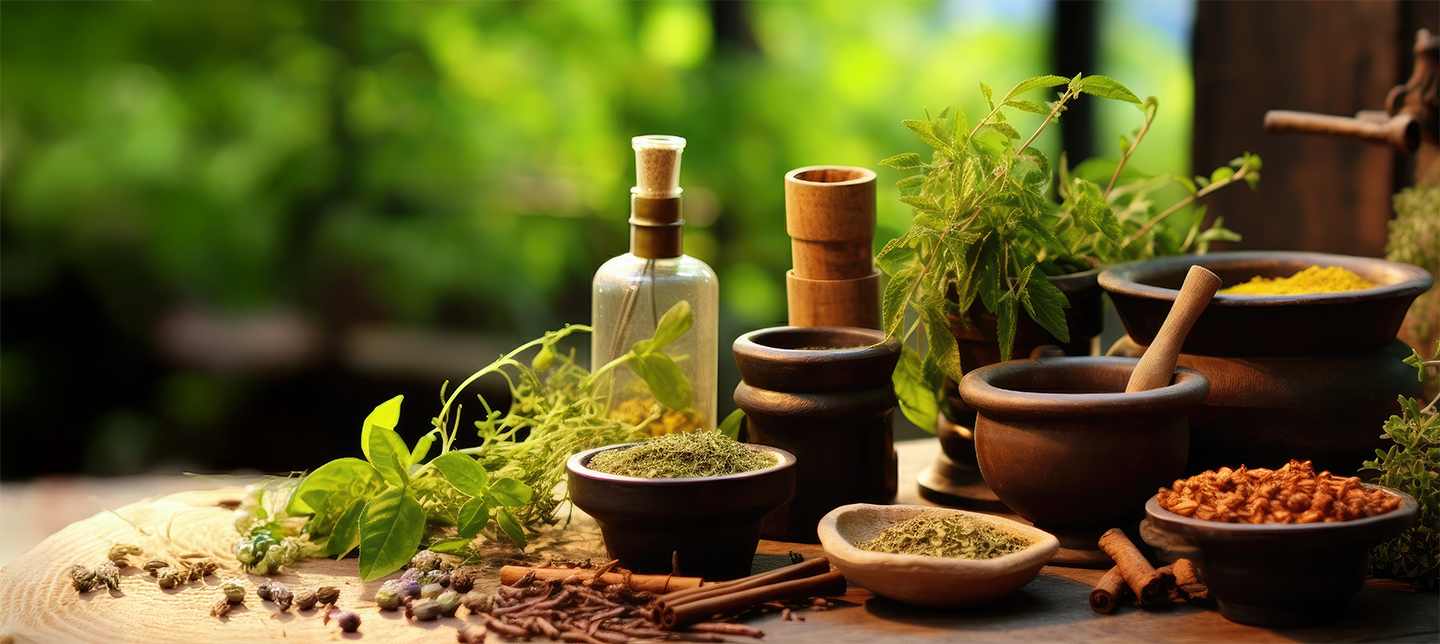 Ayurveda/Homeo/Unani/Naturopathy Licensing Exam Coaching - Kochi